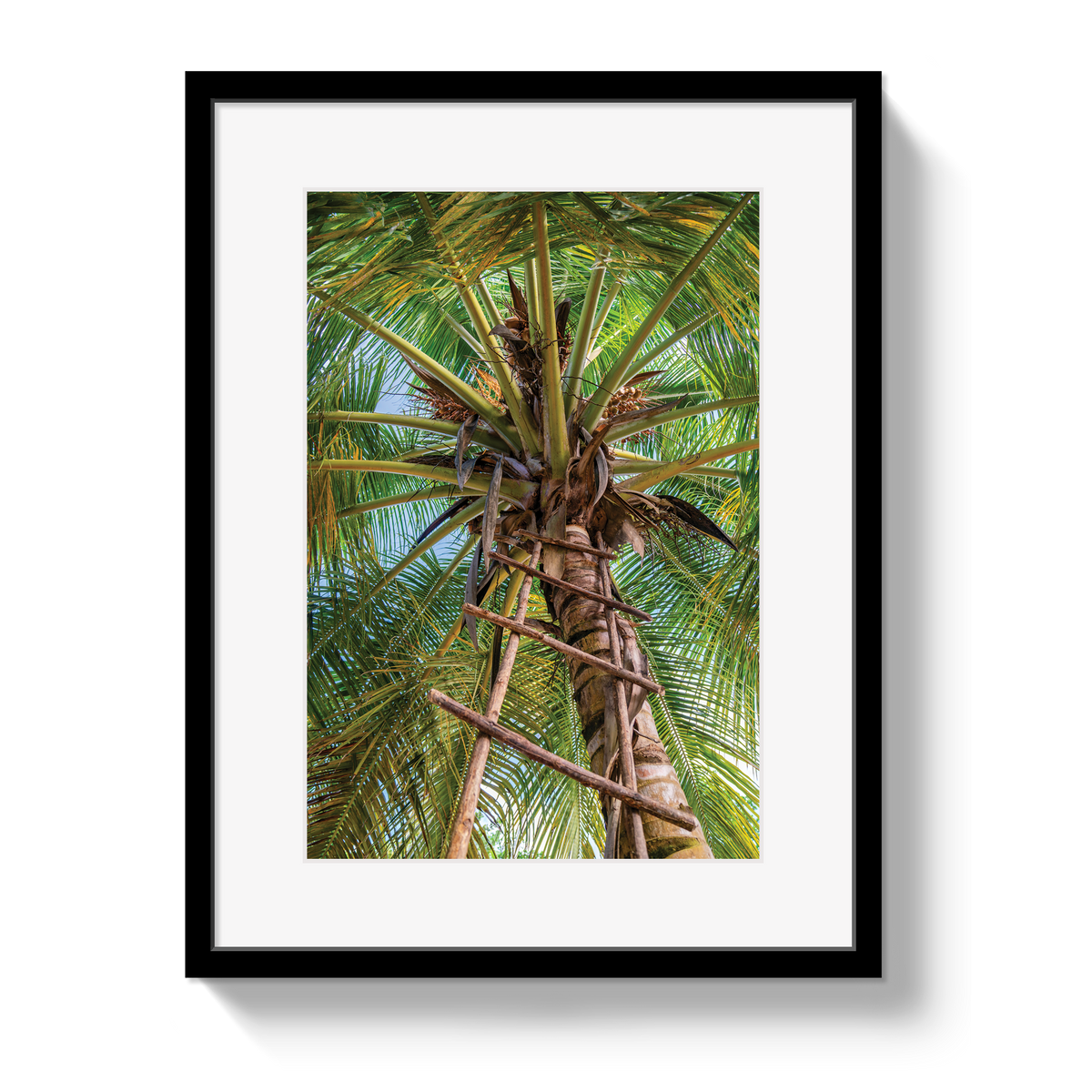 Corporate Ladder – Johnny Vacay